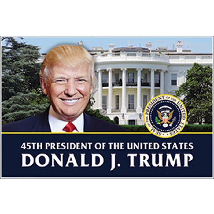 President Elect Donald Trump Inauguration Poster
